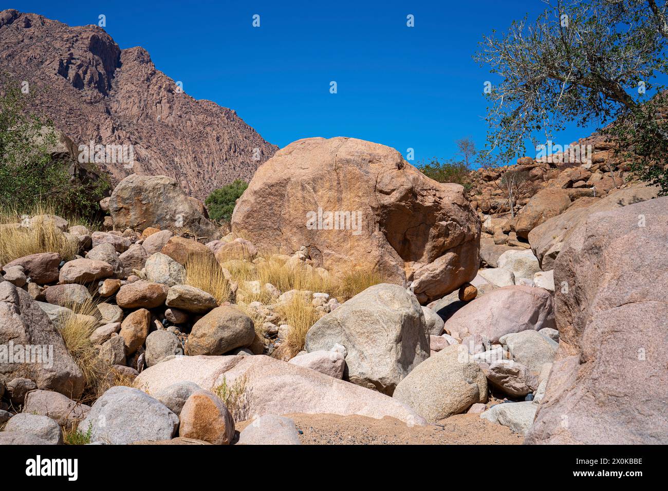 Brandberg mountain massif in Damaraland, Namibia Stock Photo - Alamy