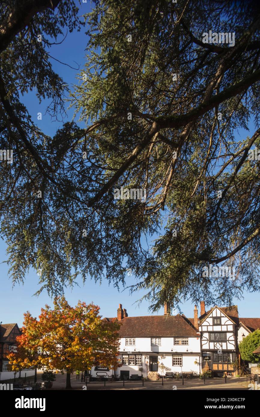 Swan inn hi-res stock photography and images - Alamy