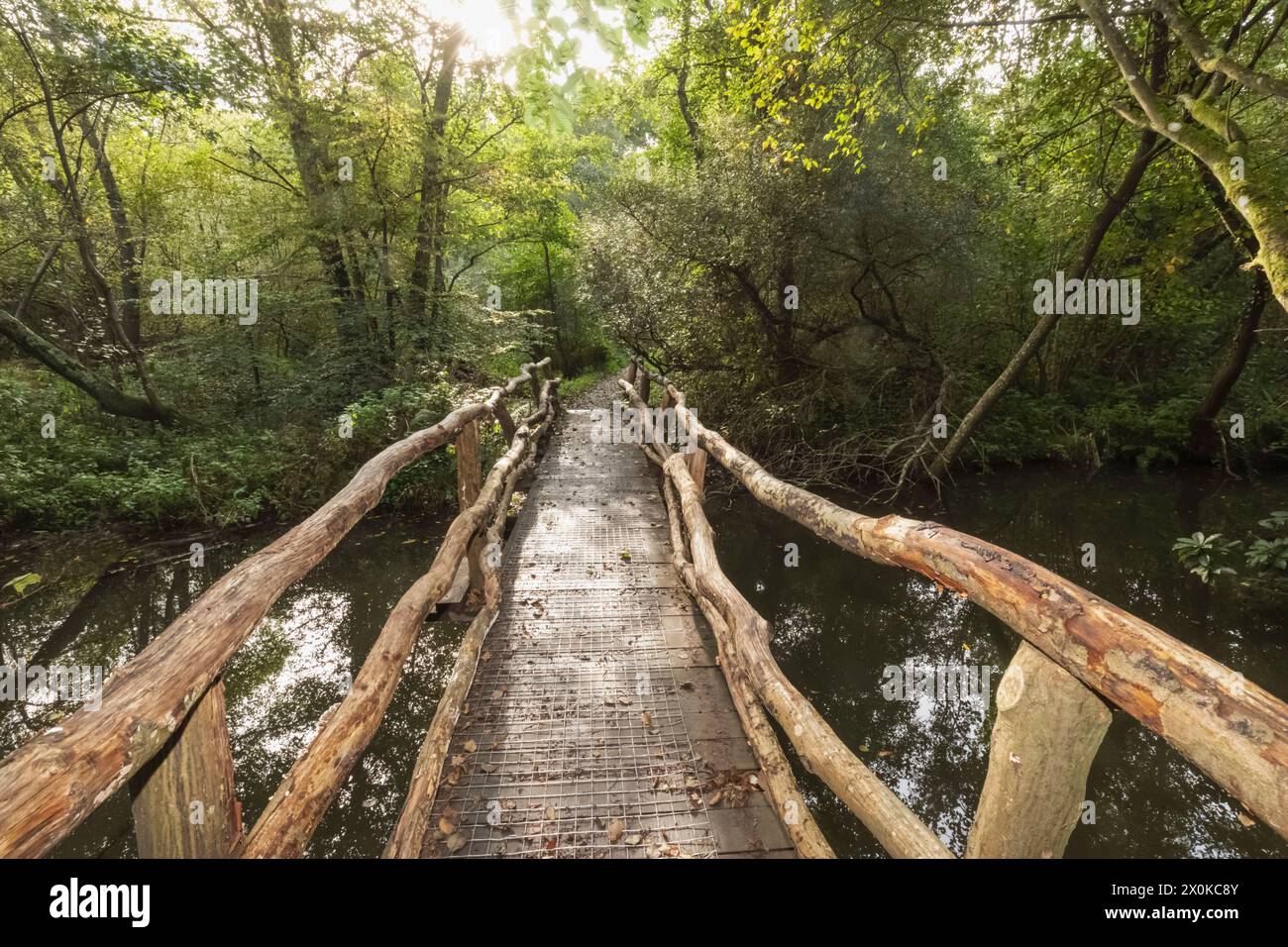 England, East Sussex, Sheffield Park and Gardens, Wooden Bridge Stock ...
