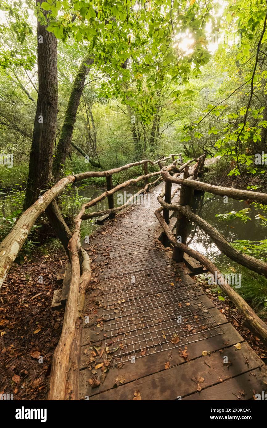 Sheffield park england hi-res stock photography and images - Alamy