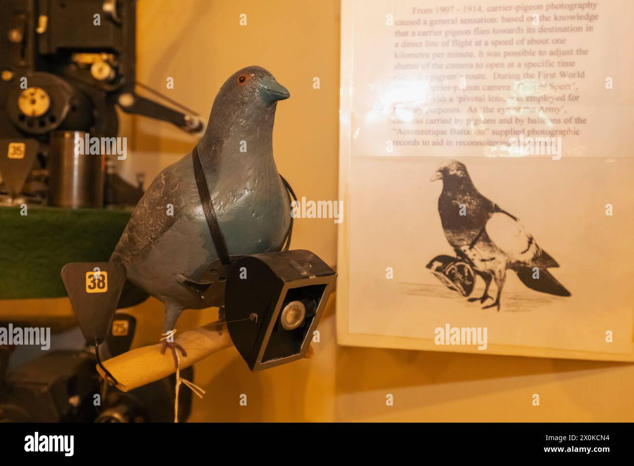 England, West Sussex, Chichester, Tangmere Military Aviation Museum ...