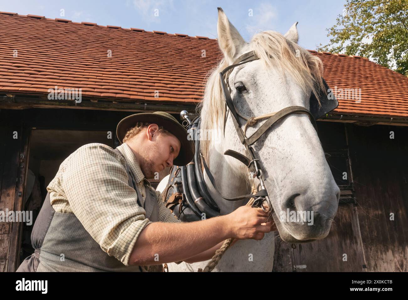 England, West Sussex, The Weald and Downland Living Museum, Working ...