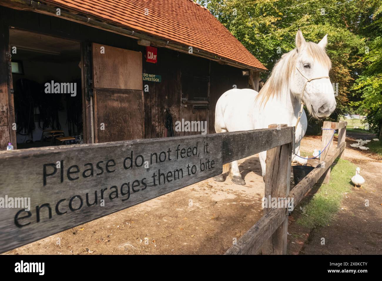 England, West Sussex, The Weald and Downland Living Museum, Working ...