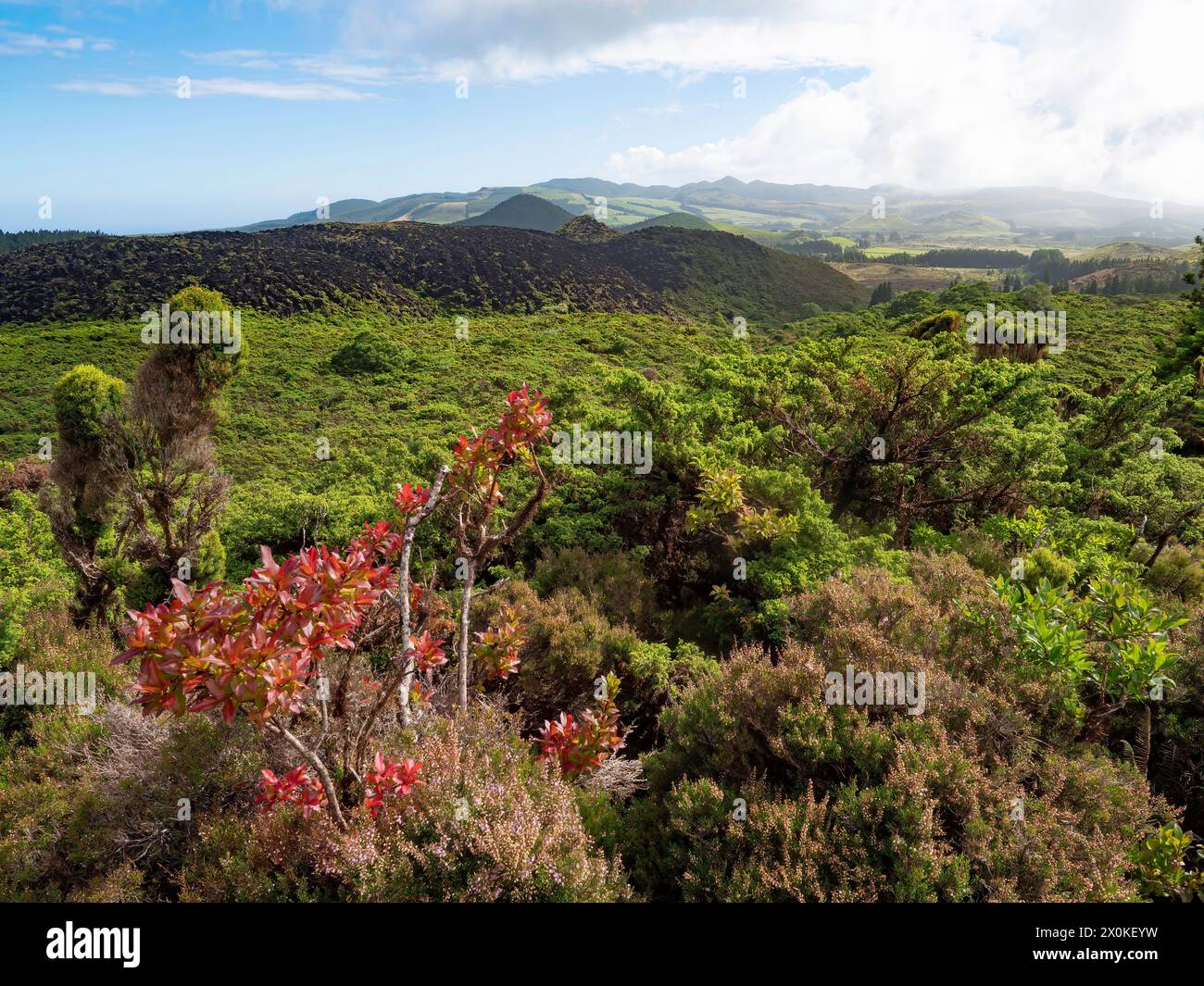 Azores, Misterios Negros hiking trail, Portugal, Terceira, scenery ...