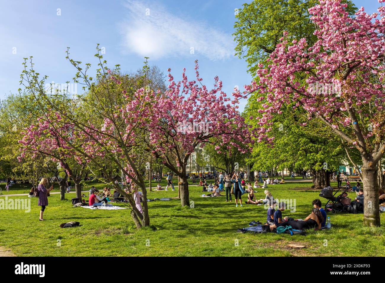 Berlin, Germany - 02 April 2024, Spring in a Berlin park. People had a ...