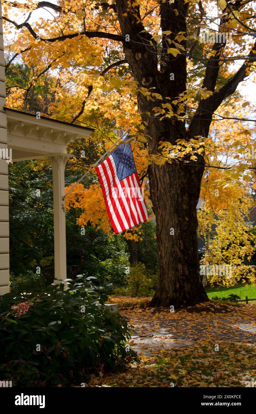 American flag with fall maple tree in Maine, USA Stock Photo - Alamy