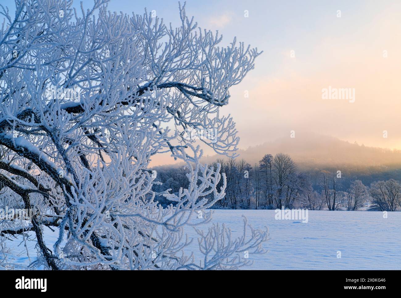 Europe, Germany, Hesse, Central Hesse, Hinterland, Lahn-Dill-Bergland ...