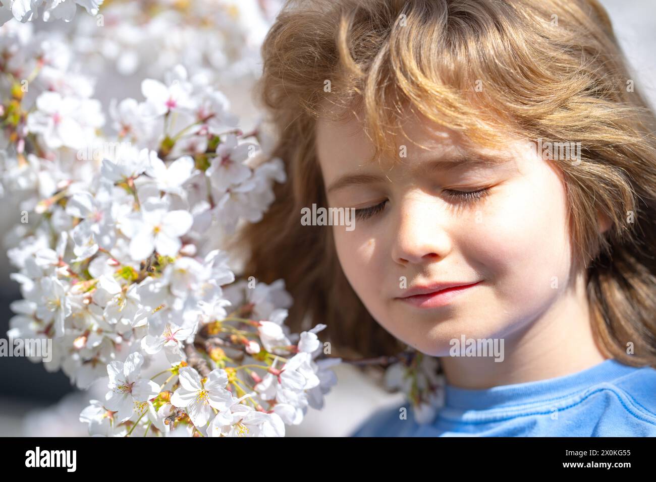 Kids face with flower on the Spring. Child in blooming cherry garden on ...