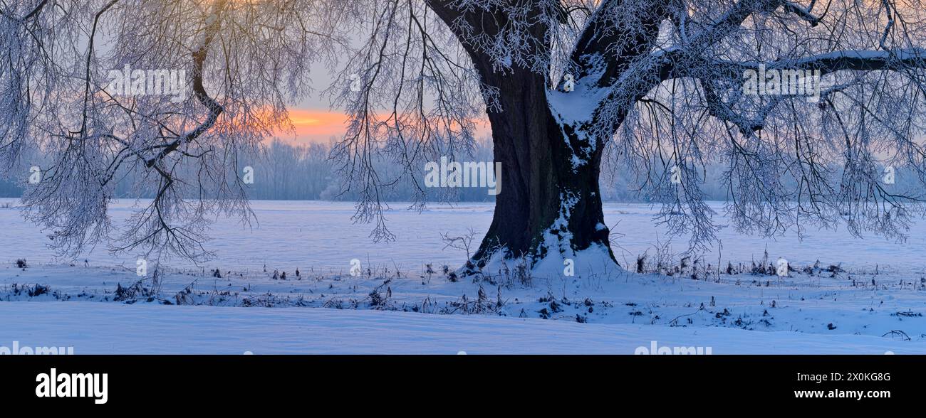Europe, Germany, Hesse, Central Hesse, Lahn-Dill-Bergland Nature Park ...
