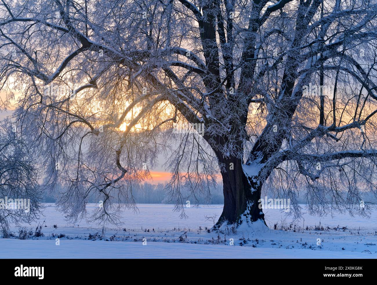 Europe, Germany, Hesse, Central Hesse, Lahn-Dill-Bergland Nature Park ...