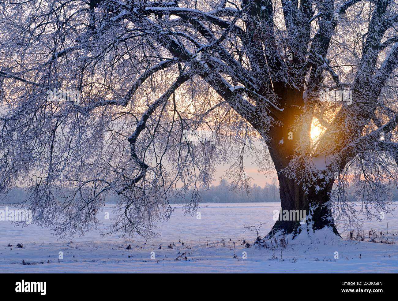 Europe, Germany, Hesse, Central Hesse, Lahn-Dill-Bergland Nature Park ...