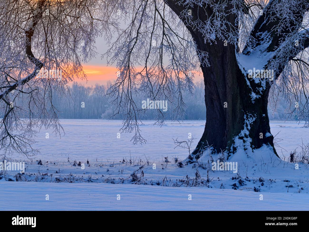 Europe, Germany, Hesse, Central Hesse, Lahn-Dill-Bergland Nature Park ...
