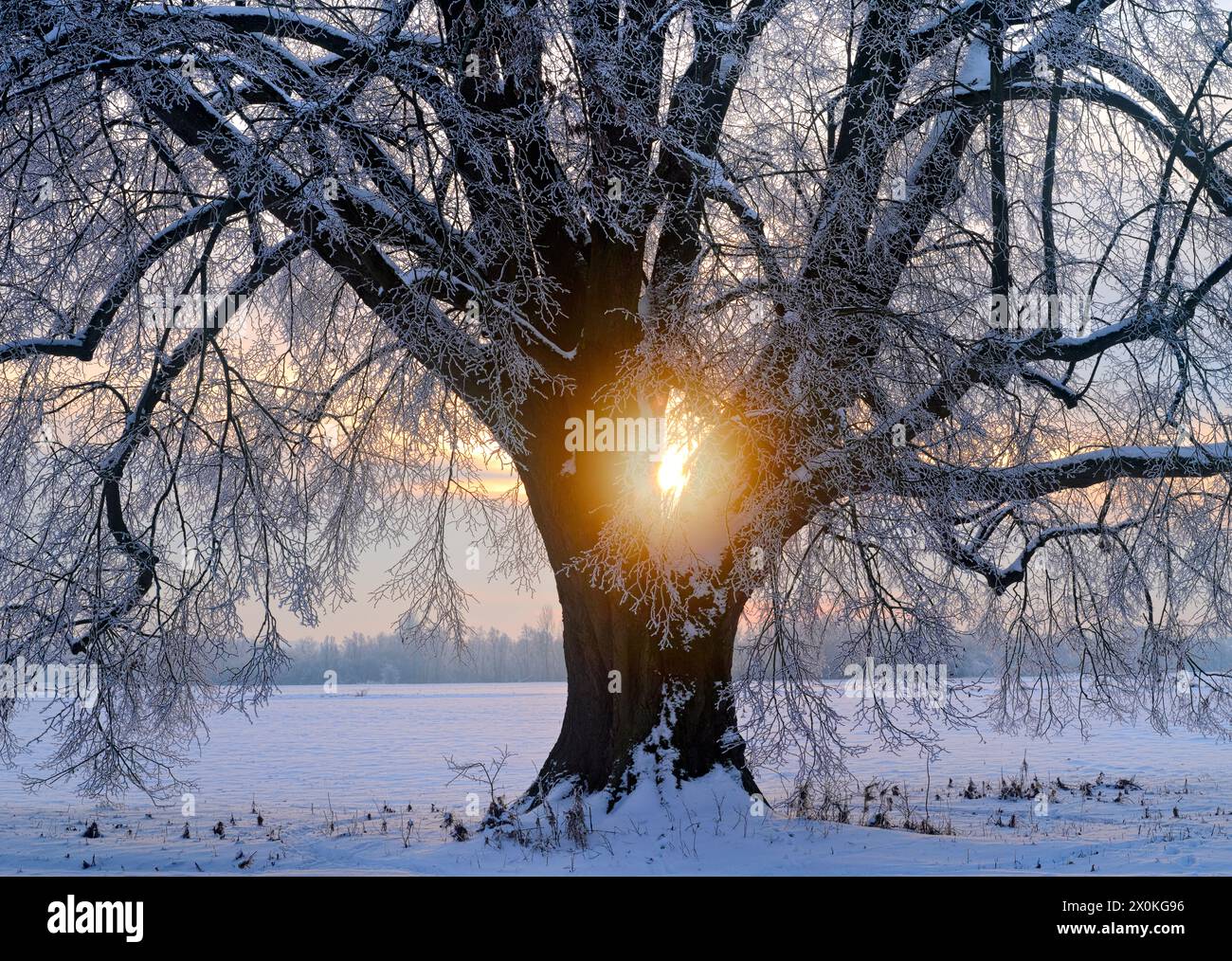 Europe, Germany, Hesse, Central Hesse, Lahn-Dill-Bergland Nature Park ...