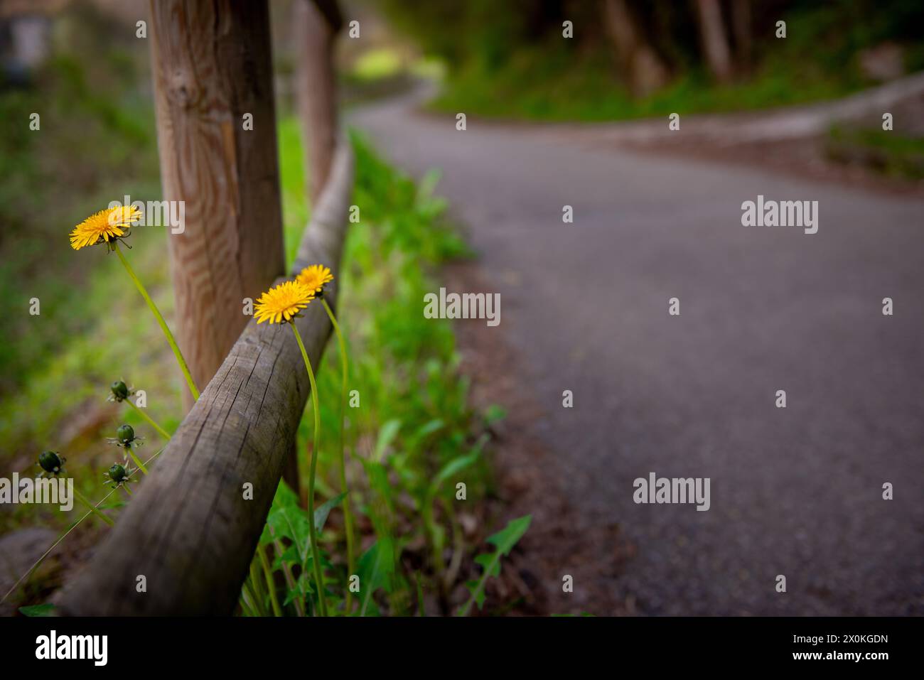 Shore cycle path hi-res stock photography and images - Alamy