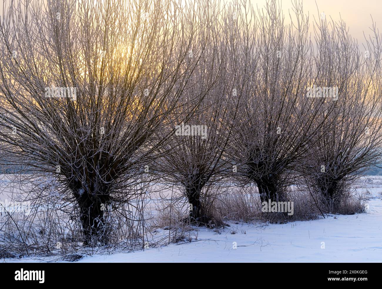 Europe, Germany, Hesse, Central Hesse, Lahn-Dill-Bergland Nature Park ...