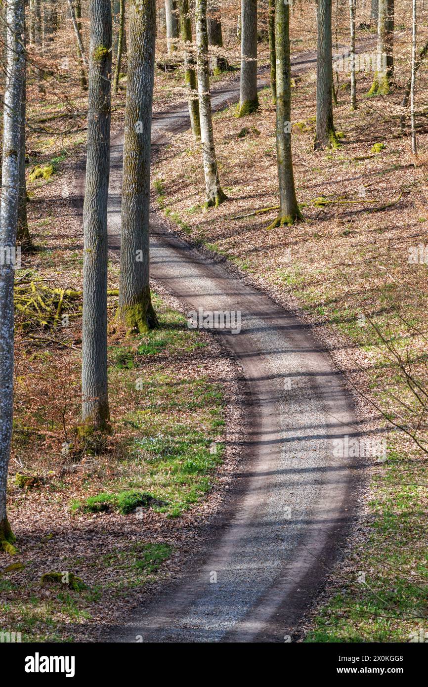 A natural landscape with a dirt path winding through a plant community ...
