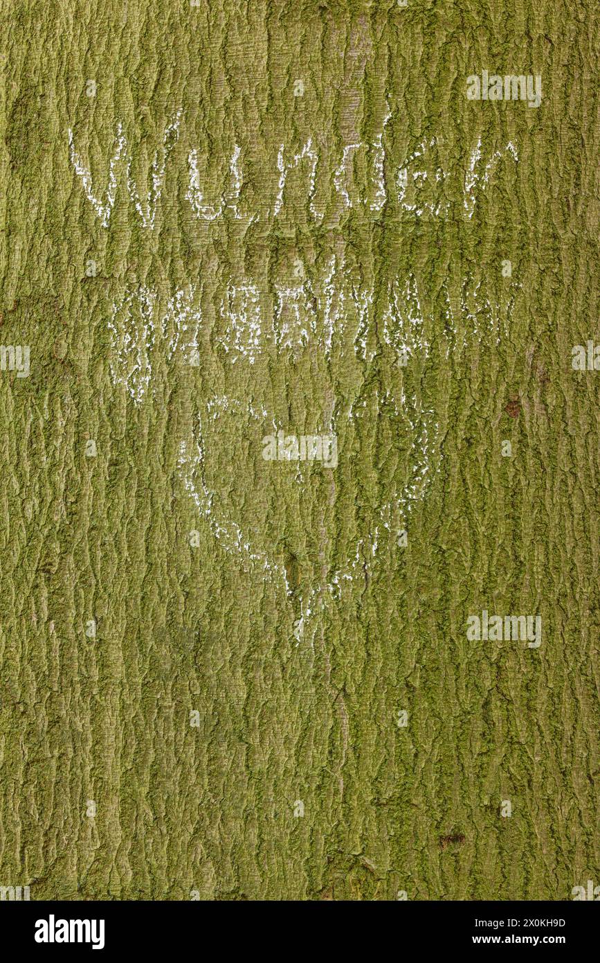 Miracle seen hi-res stock photography and images - Alamy