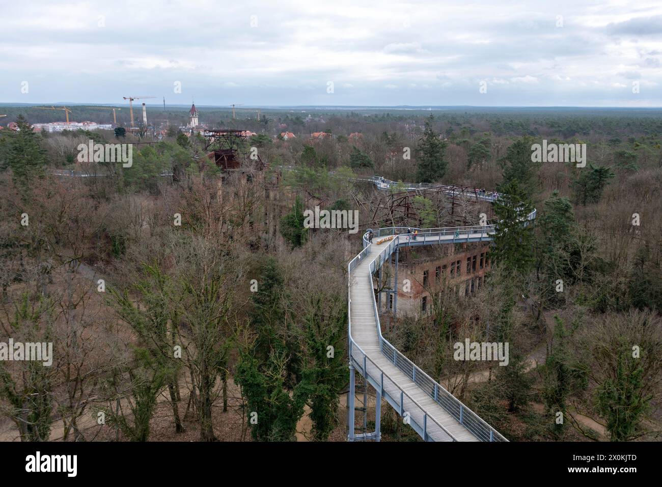 Treetop path above the ruins of the Beelitz-Heilstätten, former lung ...