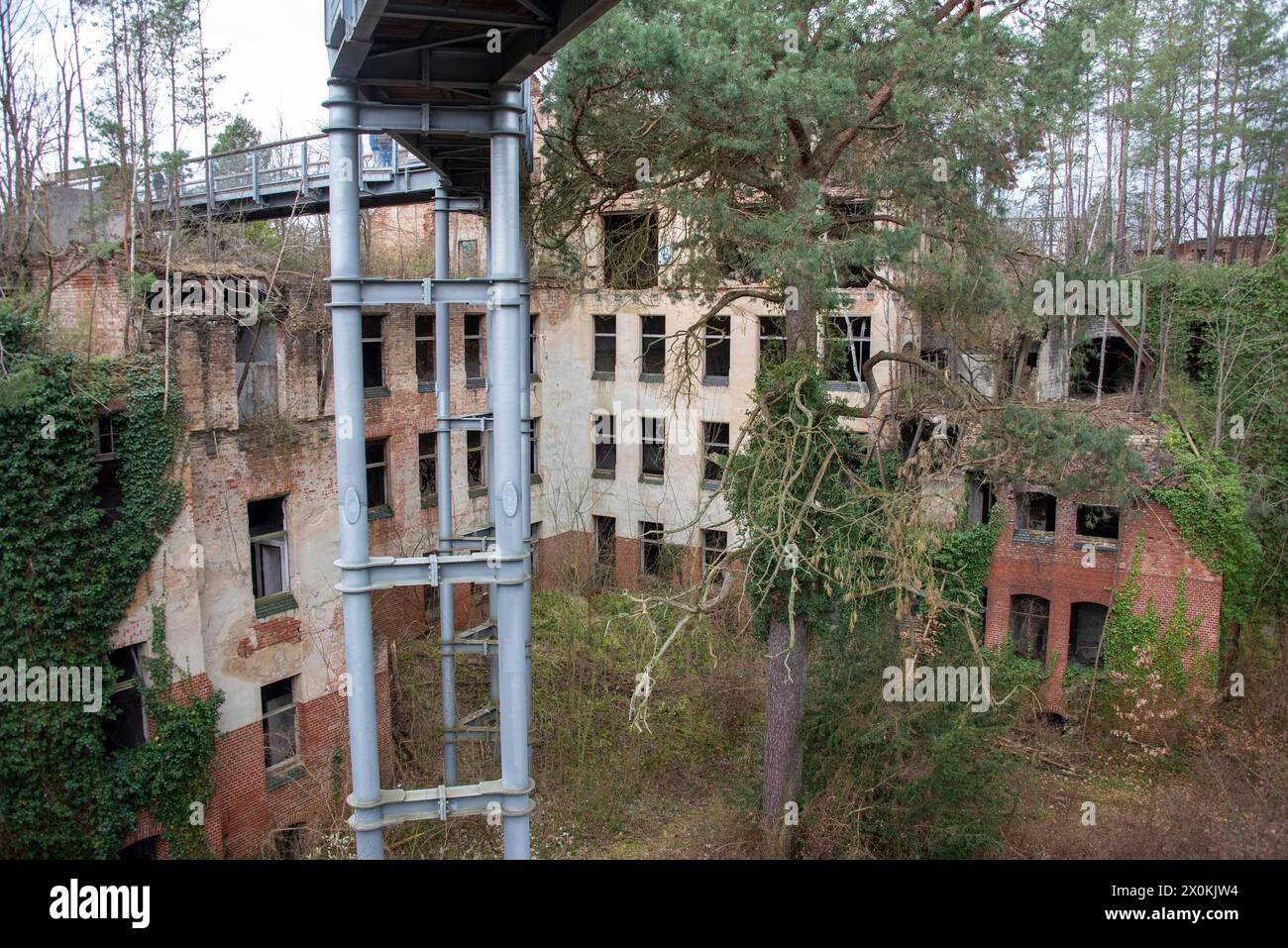 Alpenhaus, ruins of the Beelitz-Heilstätten, former lung sanatorium ...
