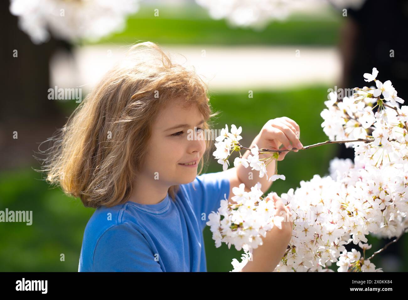 Kids face with flower on the Spring. Child in blooming cherry garden on ...