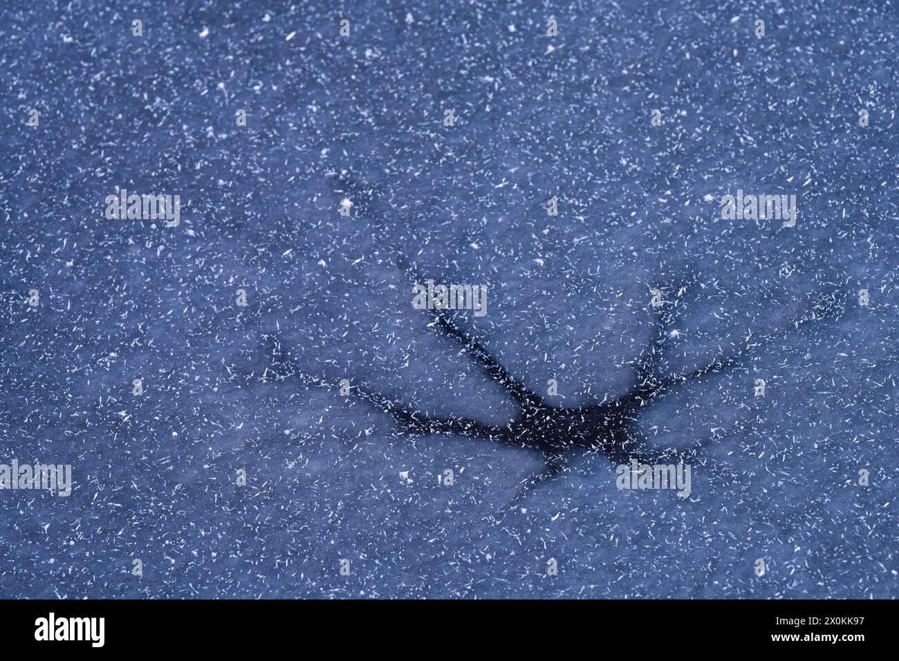star-shaped crack in the ice and fine frost crystals on a frozen lake ...