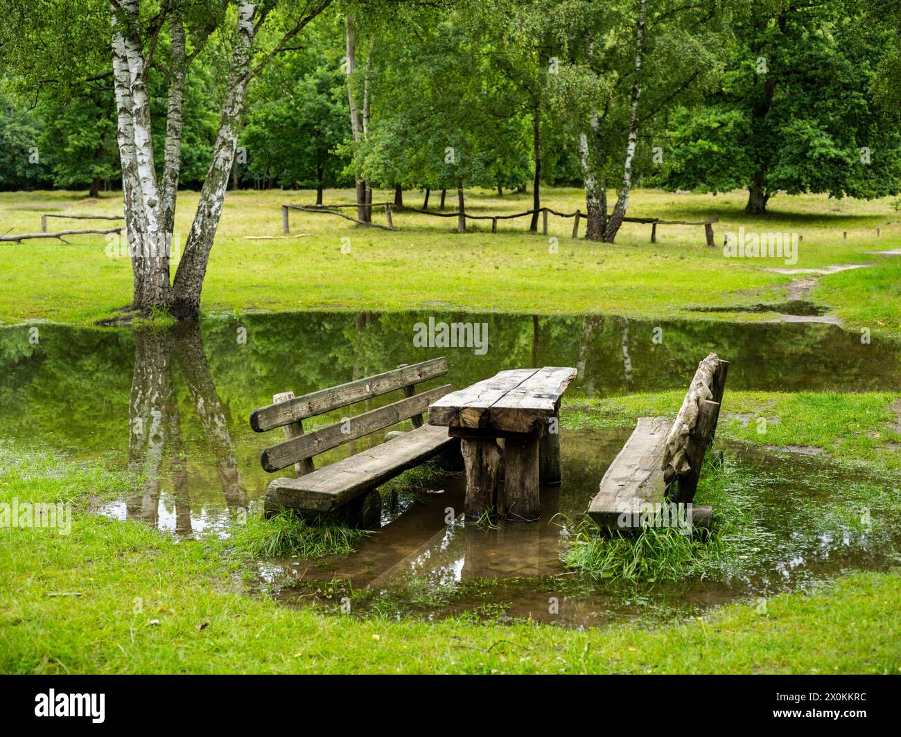 Boberger dünen hi-res stock photography and images - Alamy