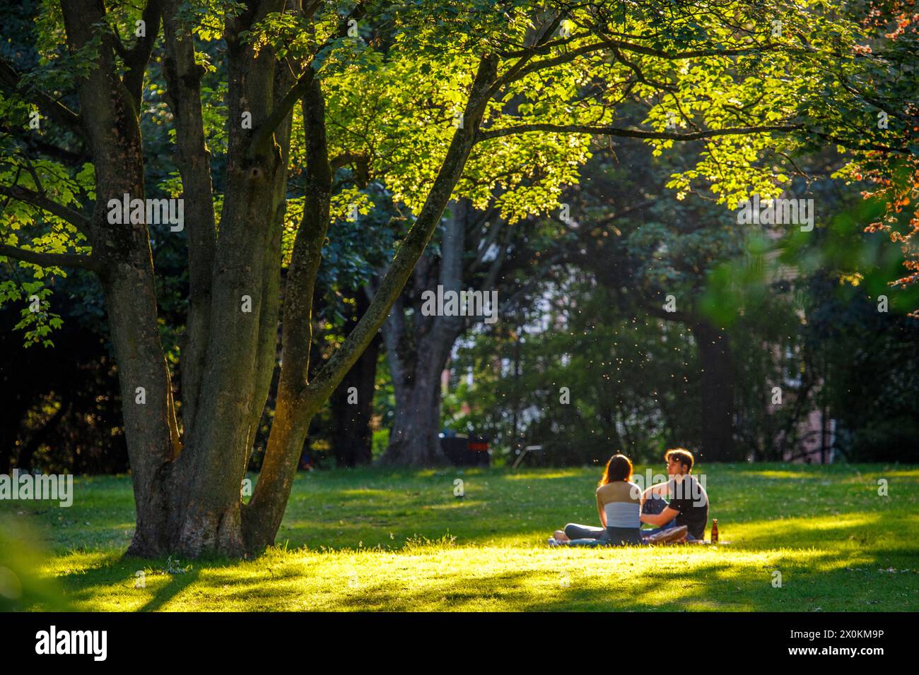 Park sitting area hi-res stock photography and images - Alamy