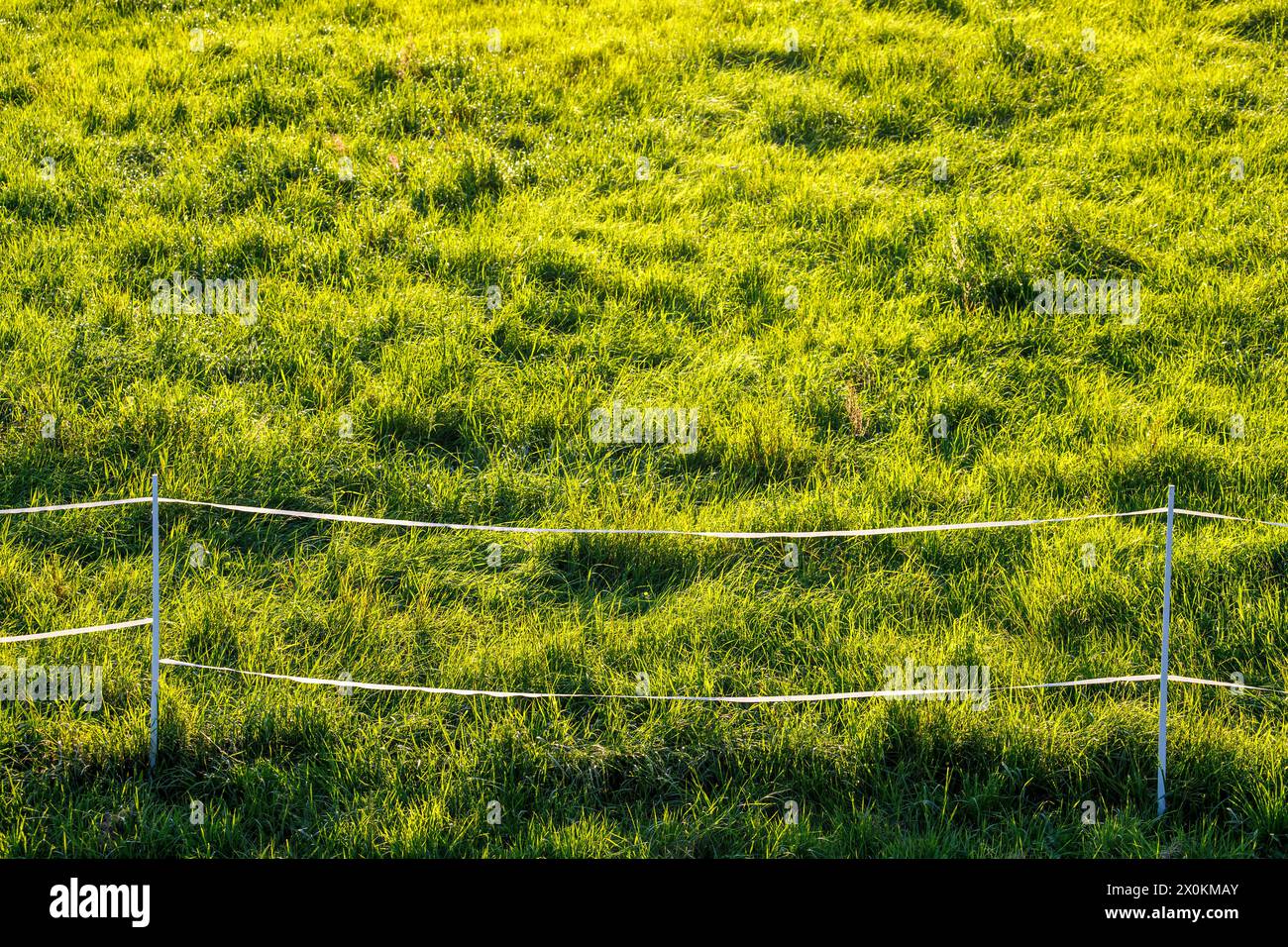 Bio fence hi-res stock photography and images - Alamy