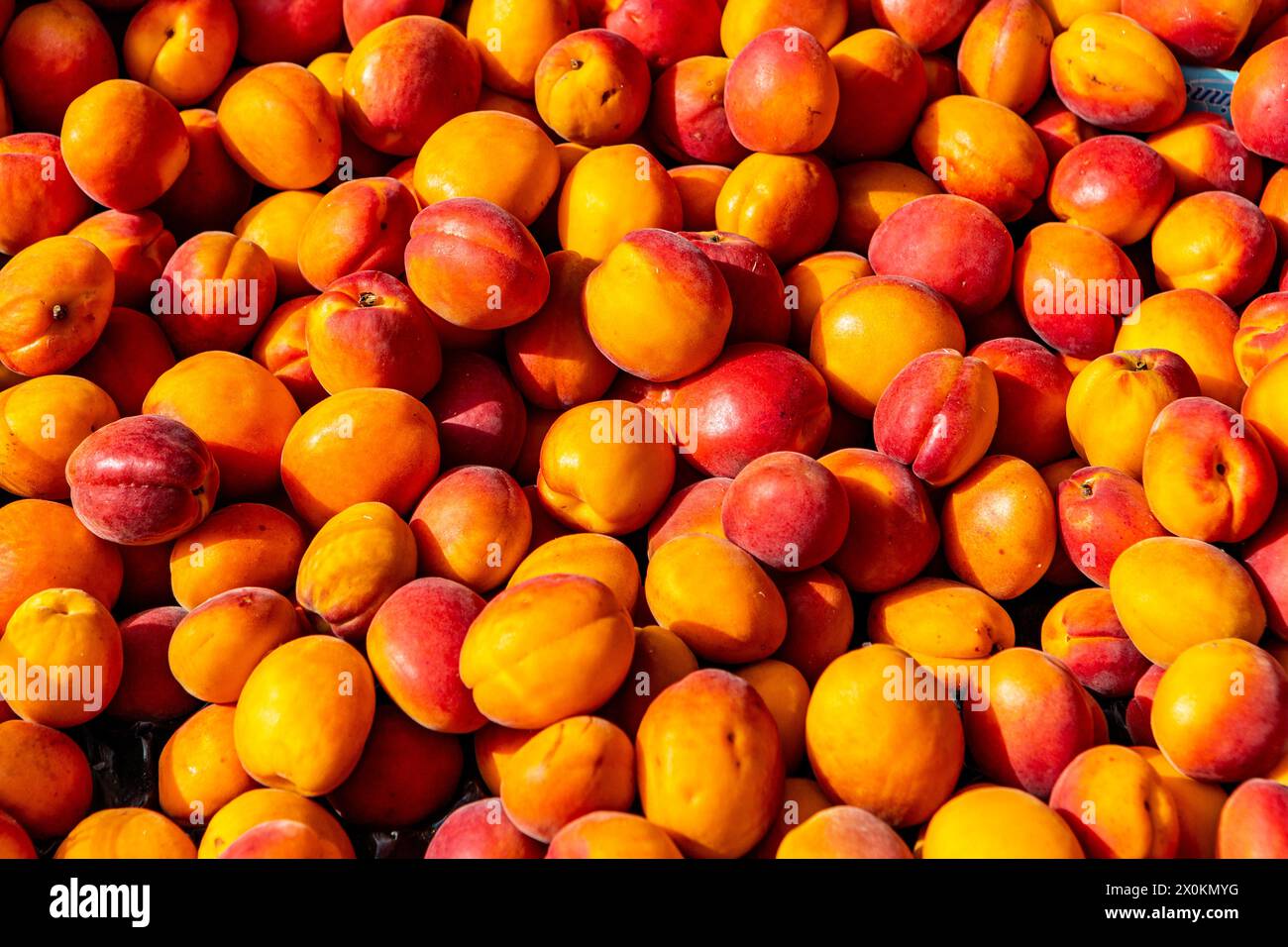 Grocery store, apricots, Paris, France Stock Photo - Alamy