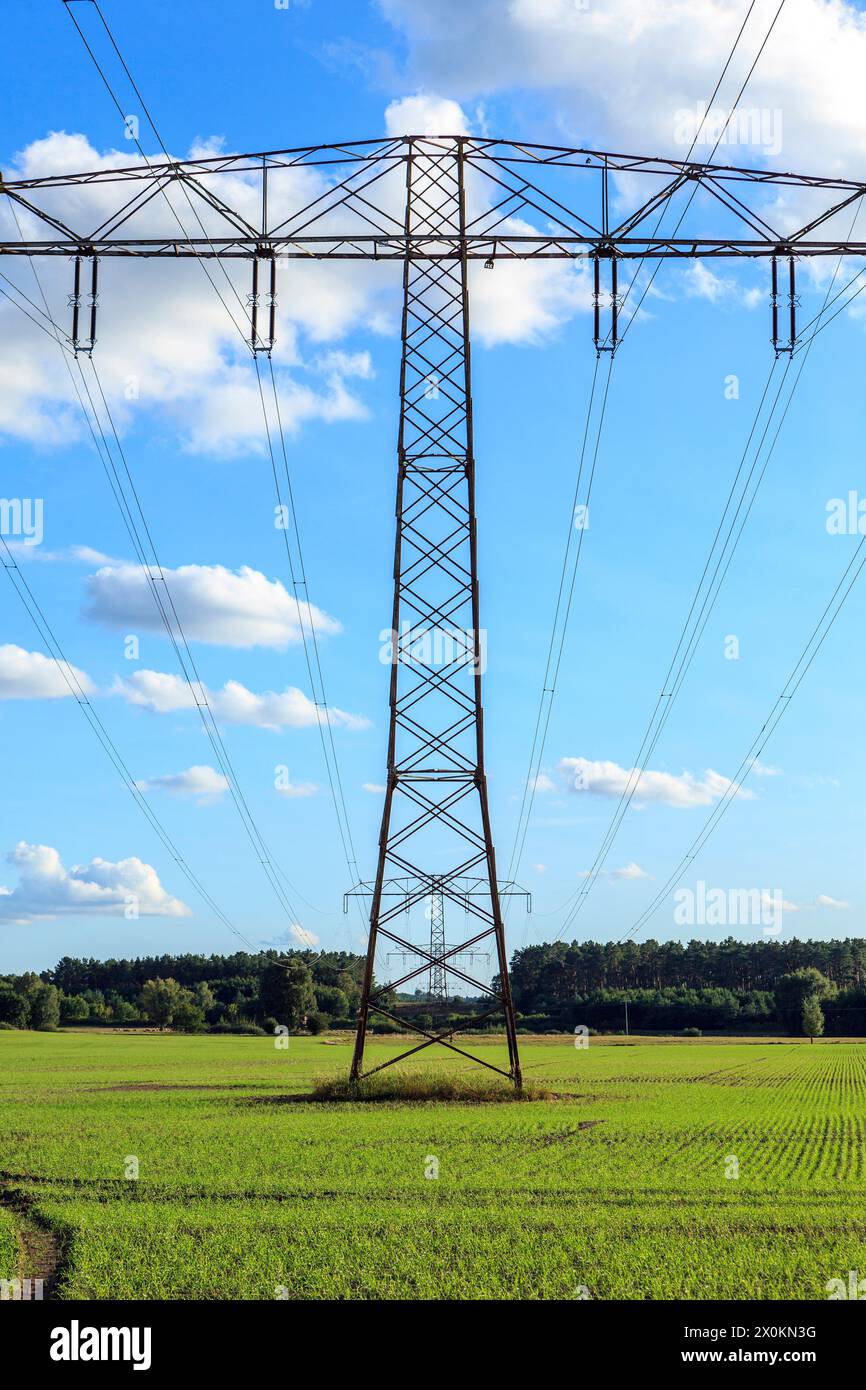 Power pylons, overhead lines, energy supply, Mecklenburg-Western ...