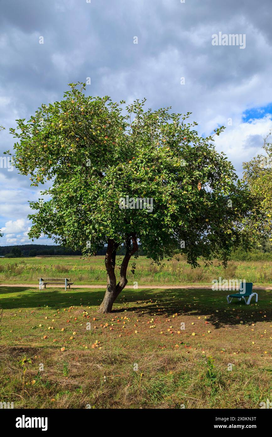 Landscape at Garder See in Mecklenburg-Vorpommern Stock Photo - Alamy