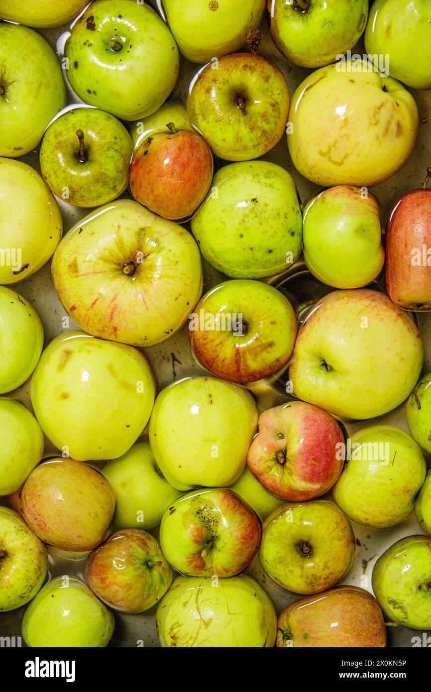 Fallen fruit hi-res stock photography and images - Alamy