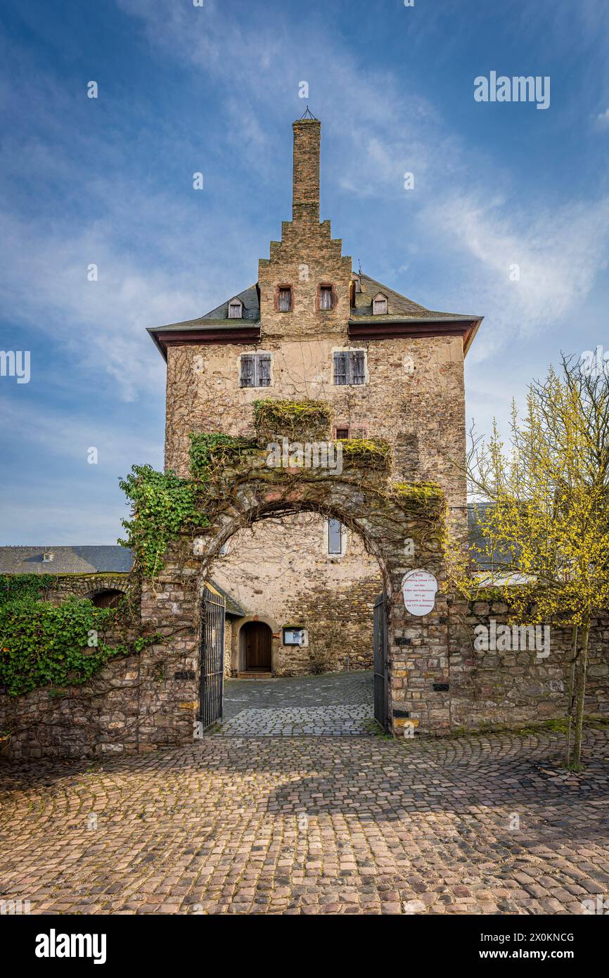 Castle in hattenheim in the rheingau hi-res stock photography and ...
