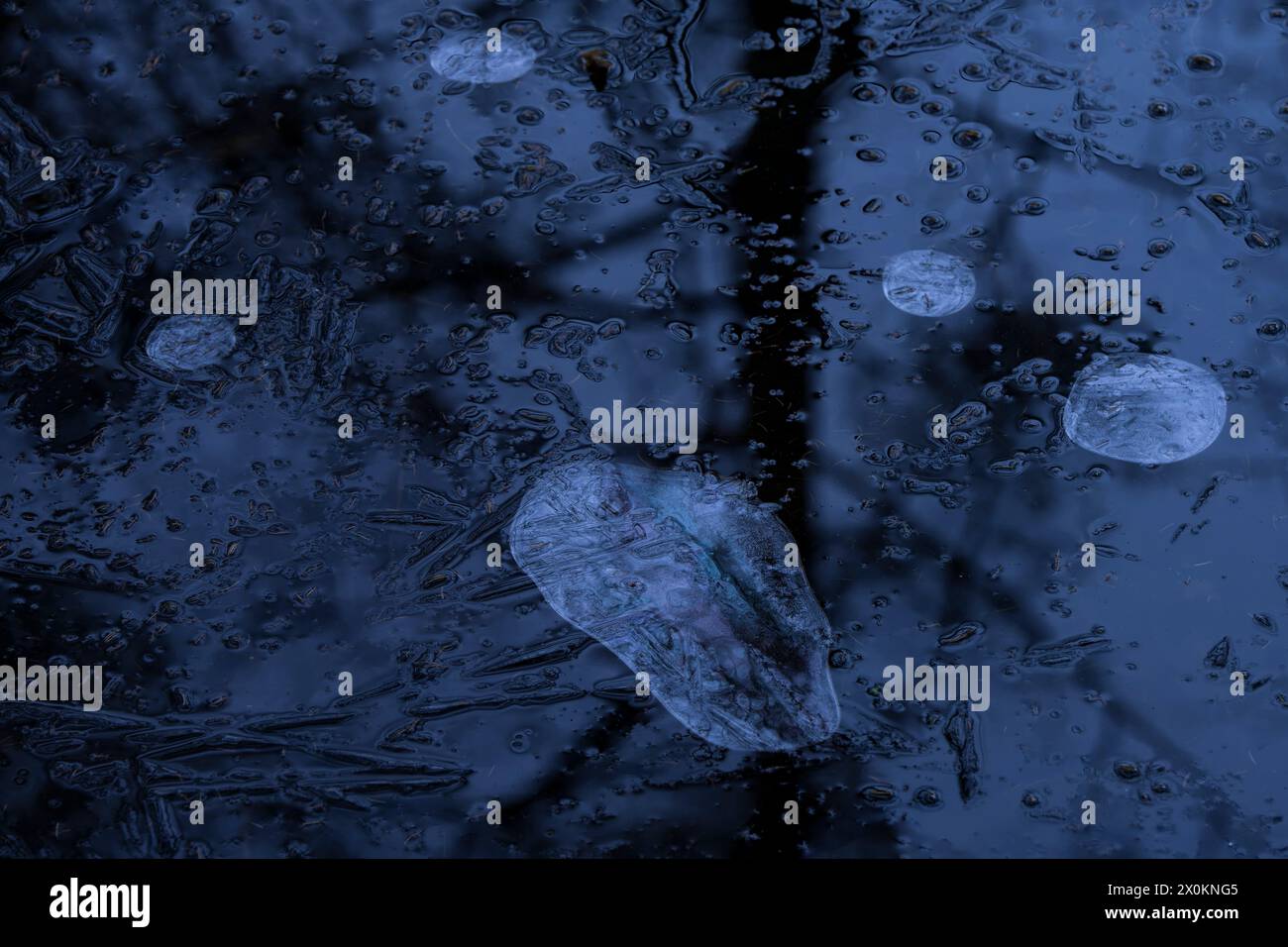 Ice formation on a lake, air bubbles trapped in the ice, Germany Stock ...