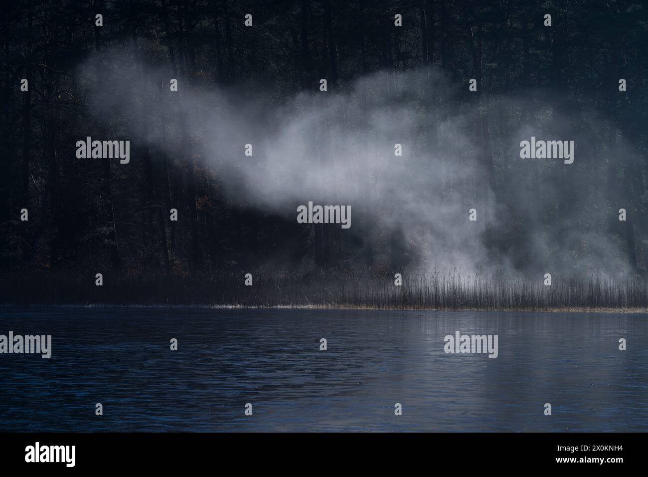 Fog forms over the icy lake and glows in the sunlight, Pfälzerwoog near ...