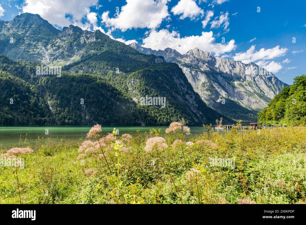 Königssee with the Watzmann massif, Salet, Berchtesgaden National Park ...