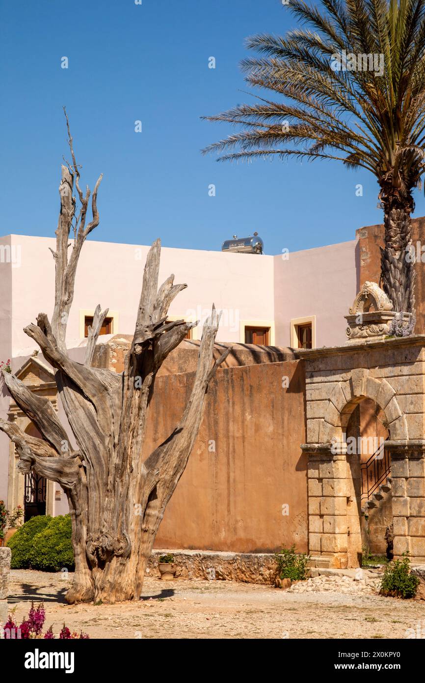 Old tree, Arkadi Monastery, national monument, monastery, Crete ...