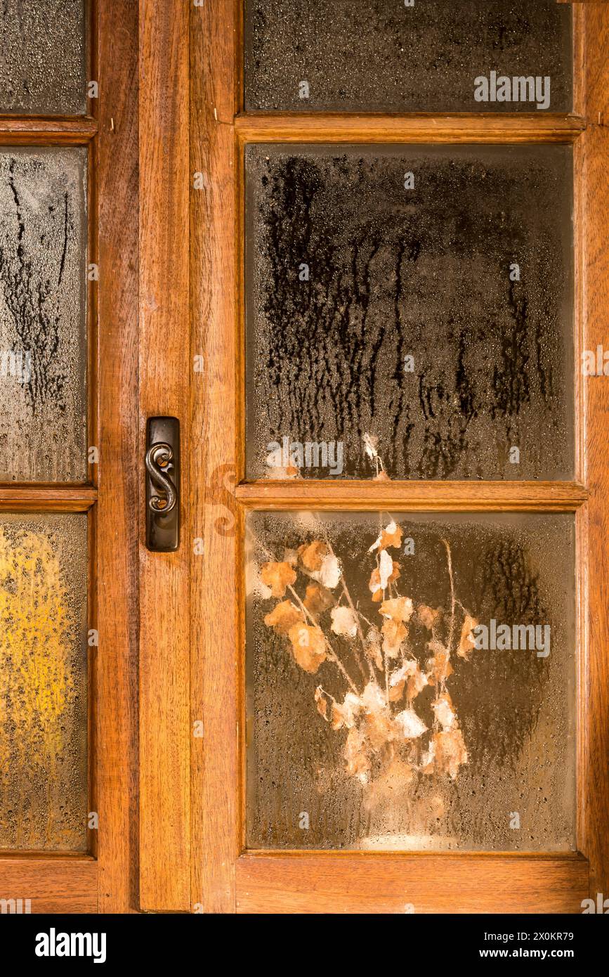 Dried flowers behind a rain-soaked wooden window Stock Photo - Alamy