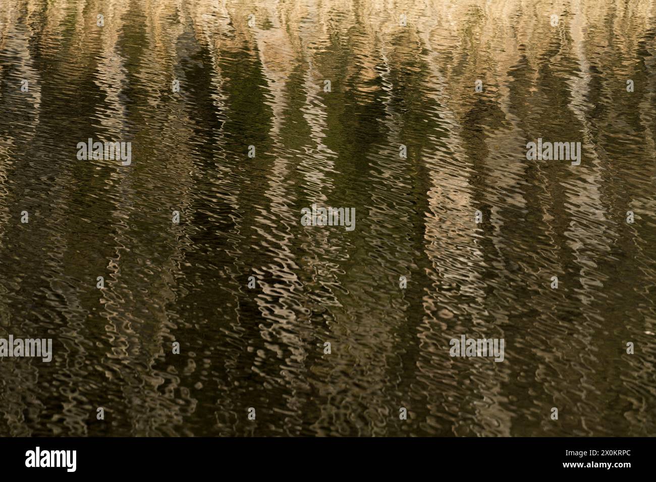 Reflections on the surface of a lake, small waves, Germany Stock Photo ...