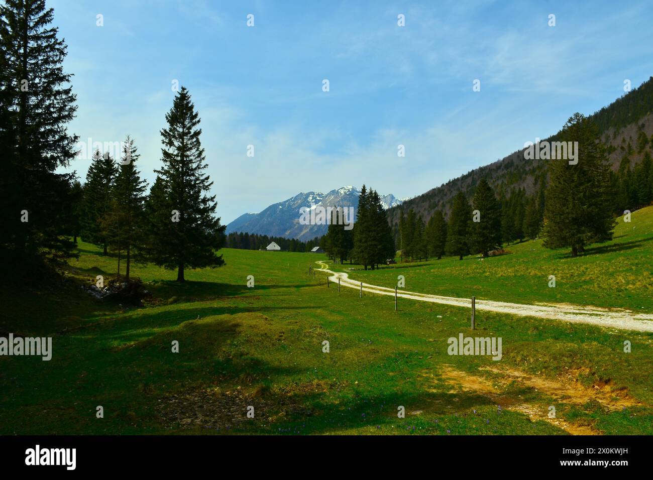 Greben planina hi-res stock photography and images - Alamy