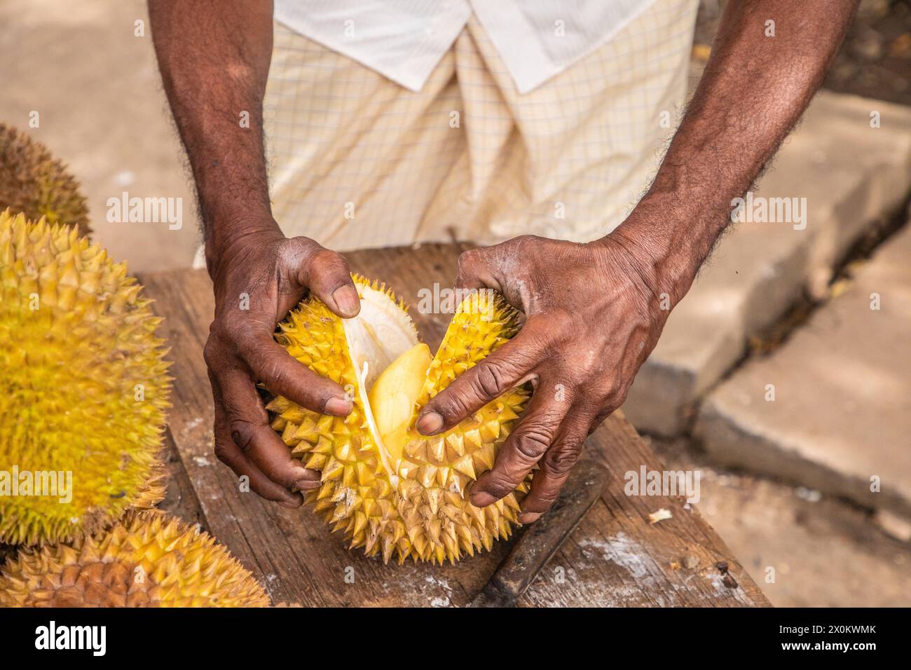 round ripe yellow durian fruits folded in pile on wooden counter for ...