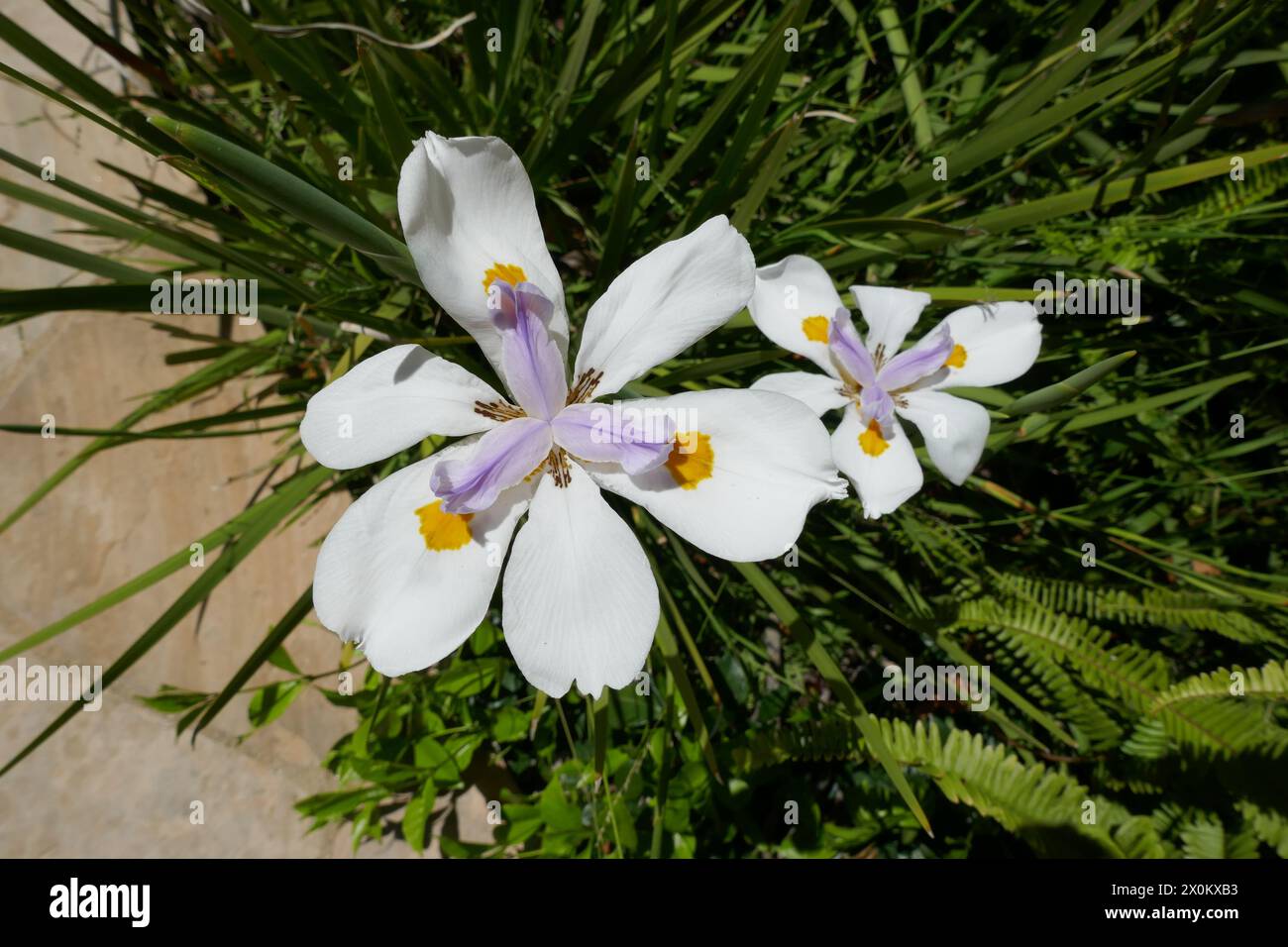 Mission Hills, Los Angeles, California, USA 11th April 2024 Entertainer ...