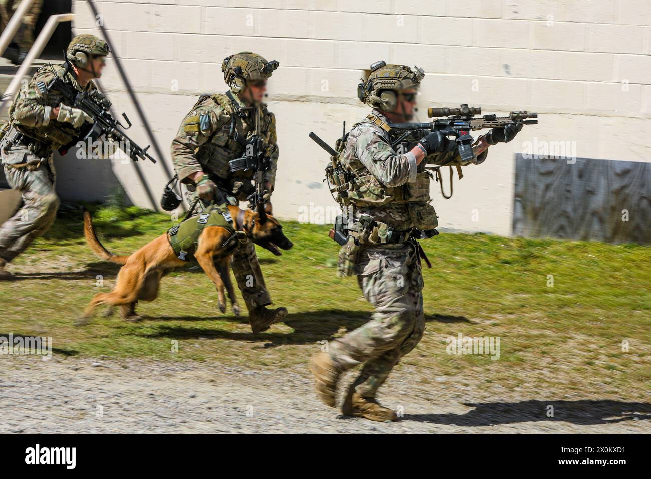 U.S. Army Rangers use a Military Working Dog engage with the opposing ...