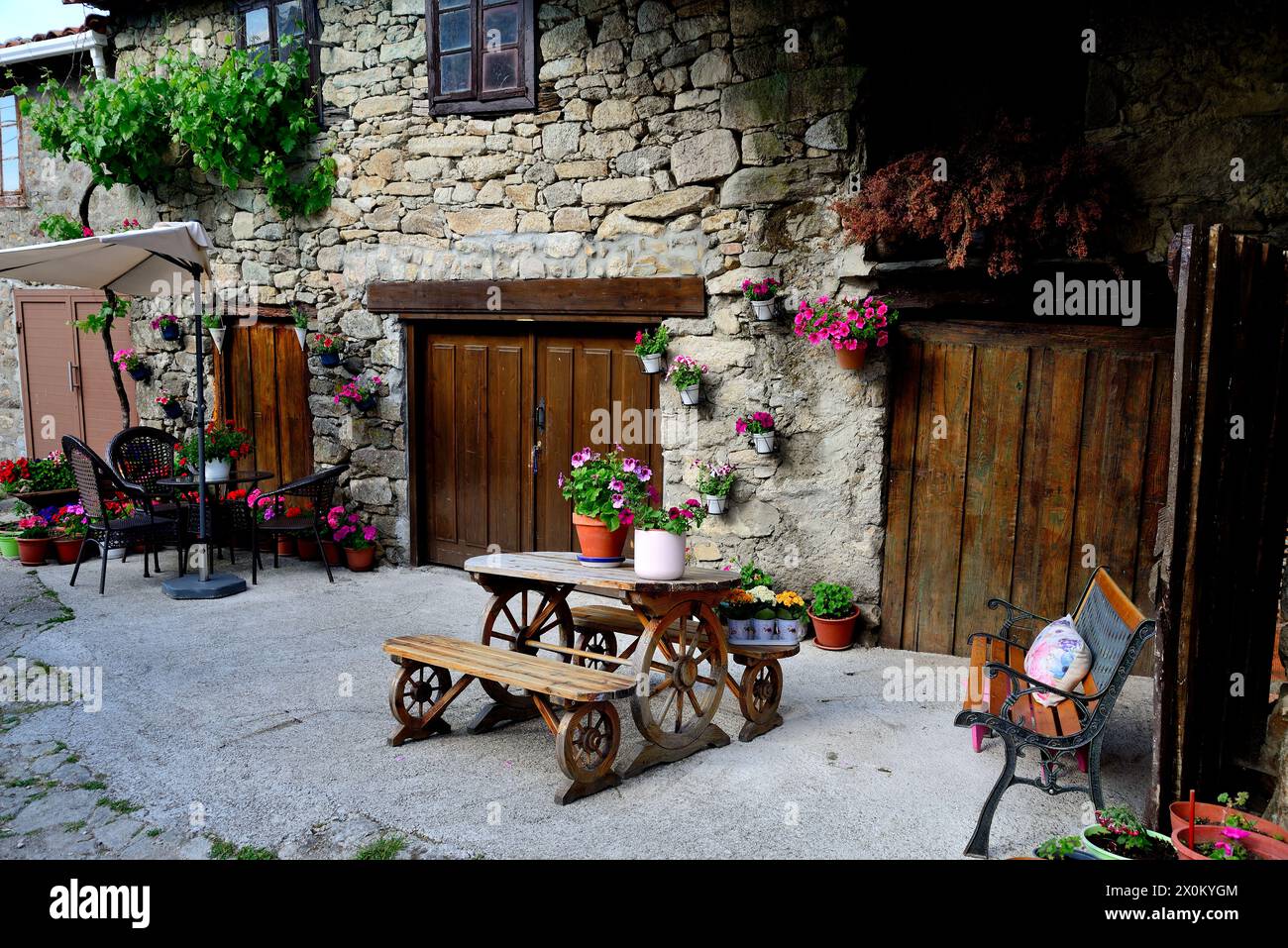 Lobios hi-res stock photography and images - Alamy