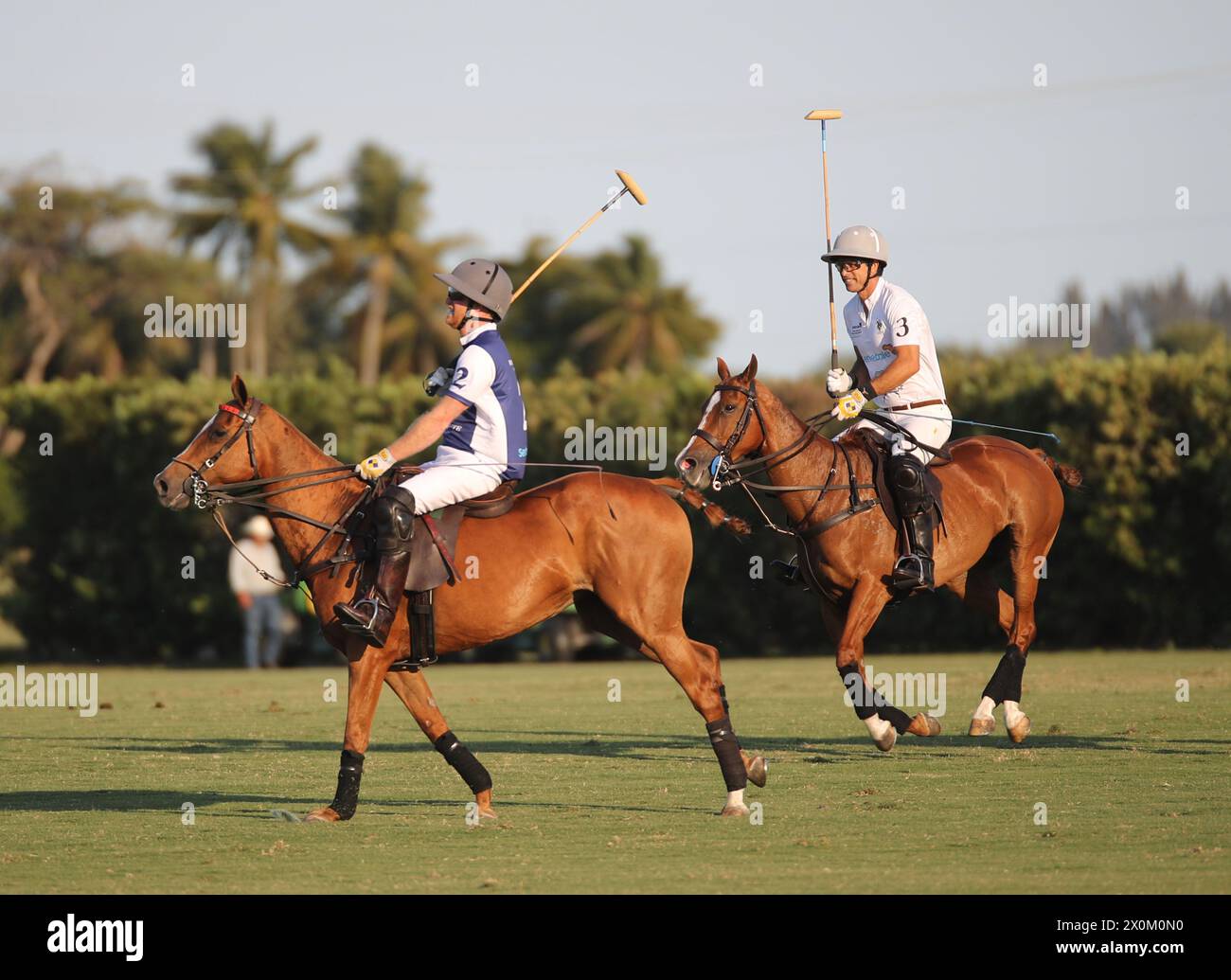 The Duke of Sussex plays in a polo match during the Royal Salute Polo Challenge, to benefit ...