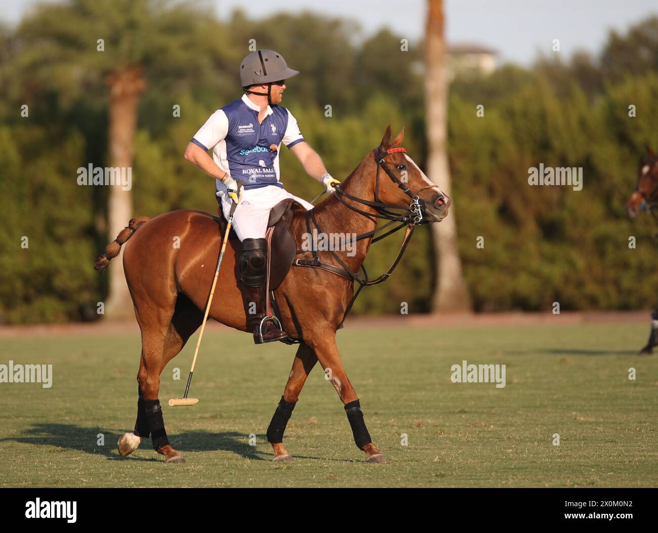 The Duke of Sussex plays in a polo match during the Royal Salute Polo Challenge, to benefit ...