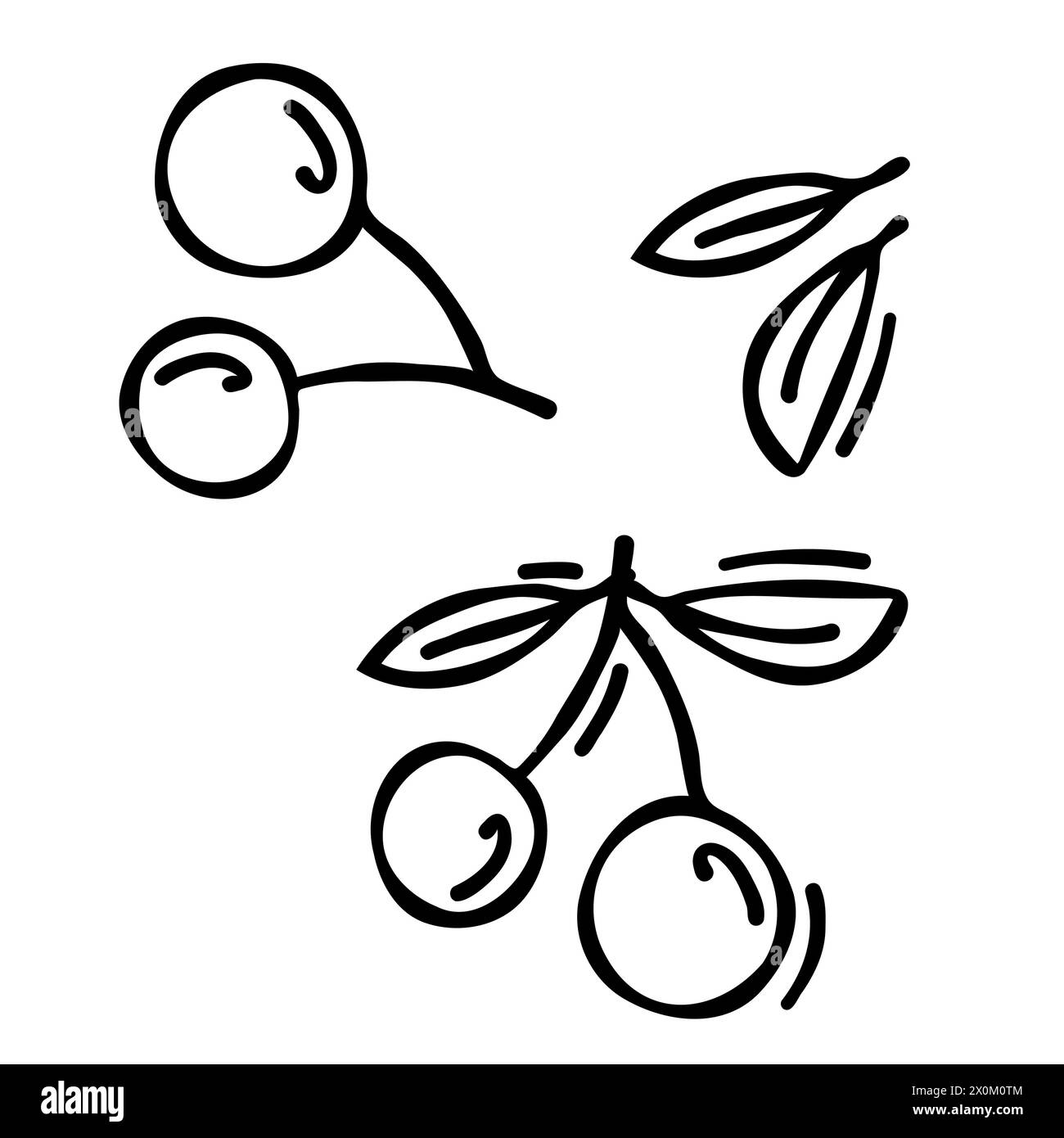 Simple Cherry Drawing How To Draw A Cherry Tattoo, Drawing, Step By