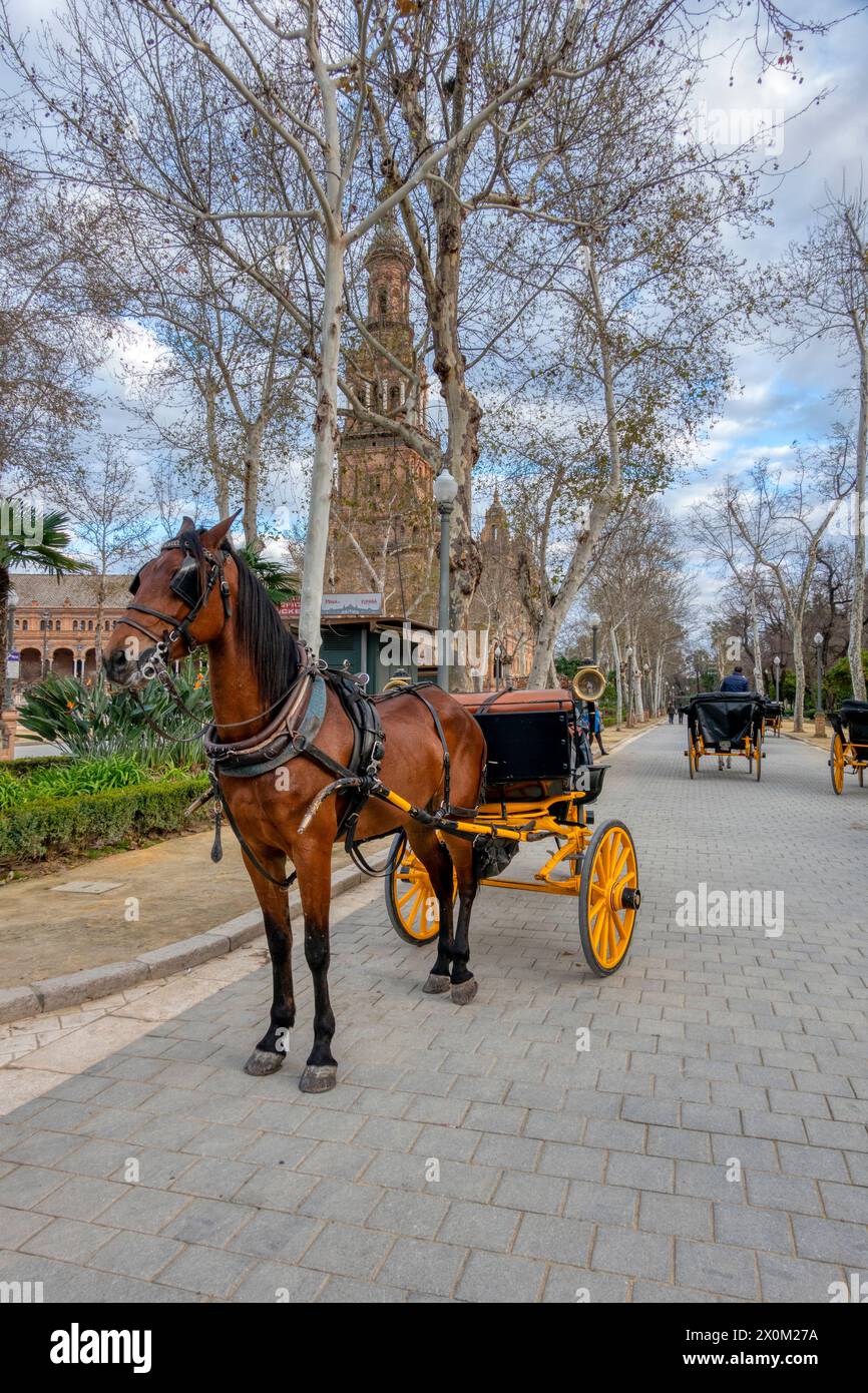 Seville, Spain - March 3, 2024: Horse-drawn carriages carrying tourists ...