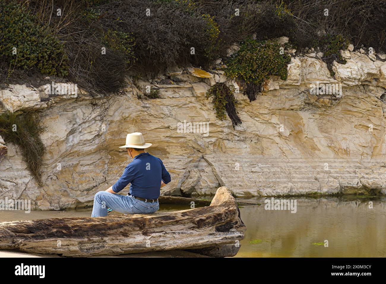 The back view of a man rest in a log at Four Mile beach California ...