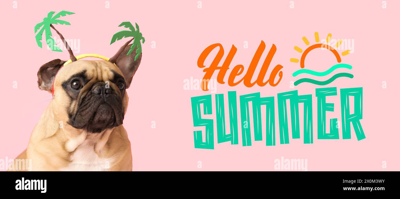Cute French bulldog with palms headband and text HELLO SUMMER on pink ...